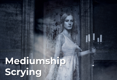 Home [academy.dianapalm.com]